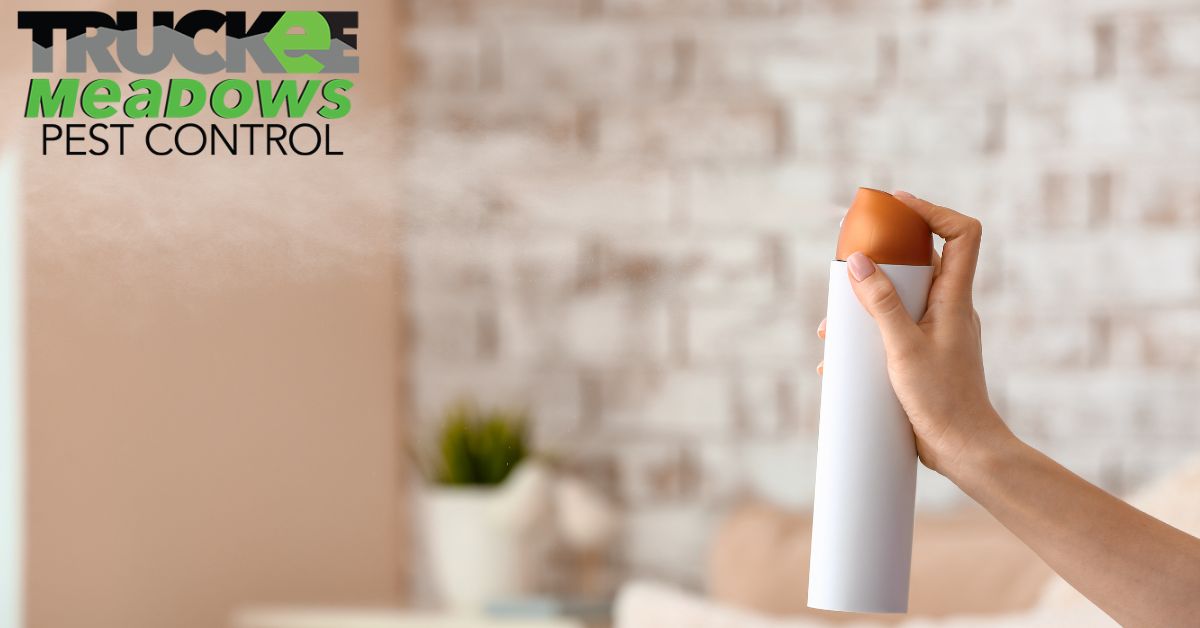 The Hidden Dangers of DIY Pest Control